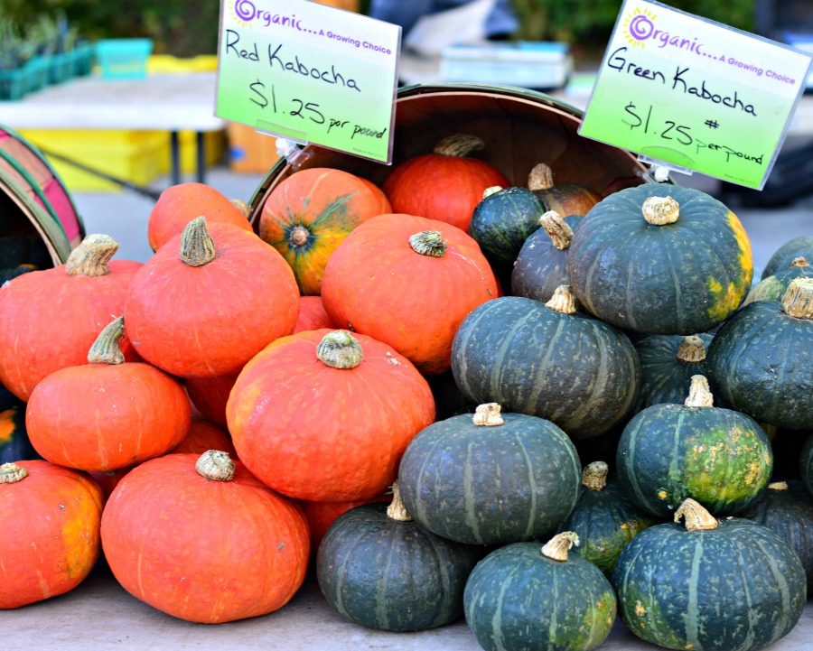 Fall at the Farmers Market - West of the Loop
